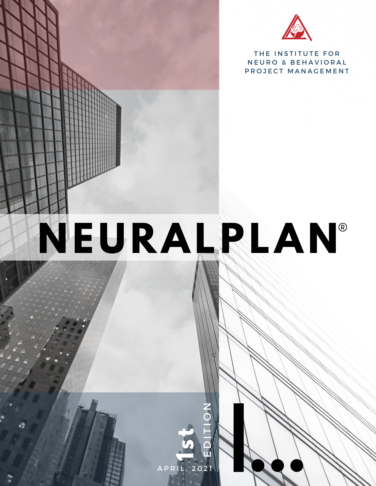 1-on-1 Coaching + NPPQ Credential – Institute for Neuro & Behavioral ...